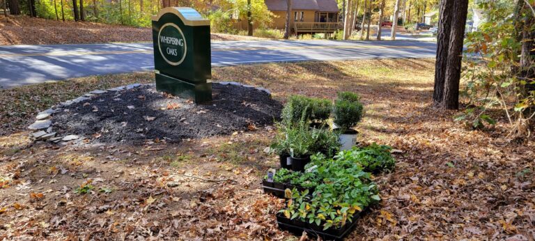 Brandermill Entrances Graced with Native Plants – Wild Ones Greater ...